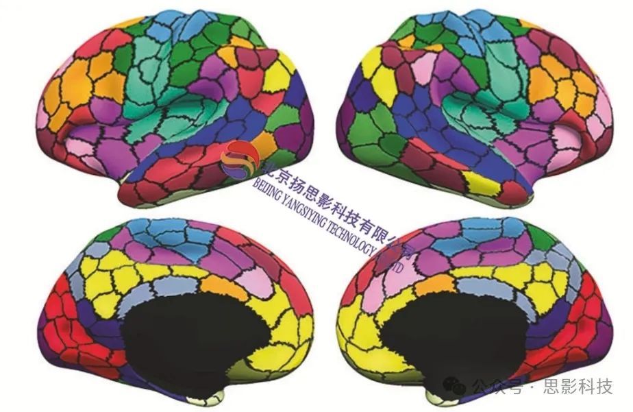 第五届Surface based fMRI分析专题班(北京，3.22-26）-联系我们-果博东方福布斯上下分客服电话 191-87099992（福布斯开户）